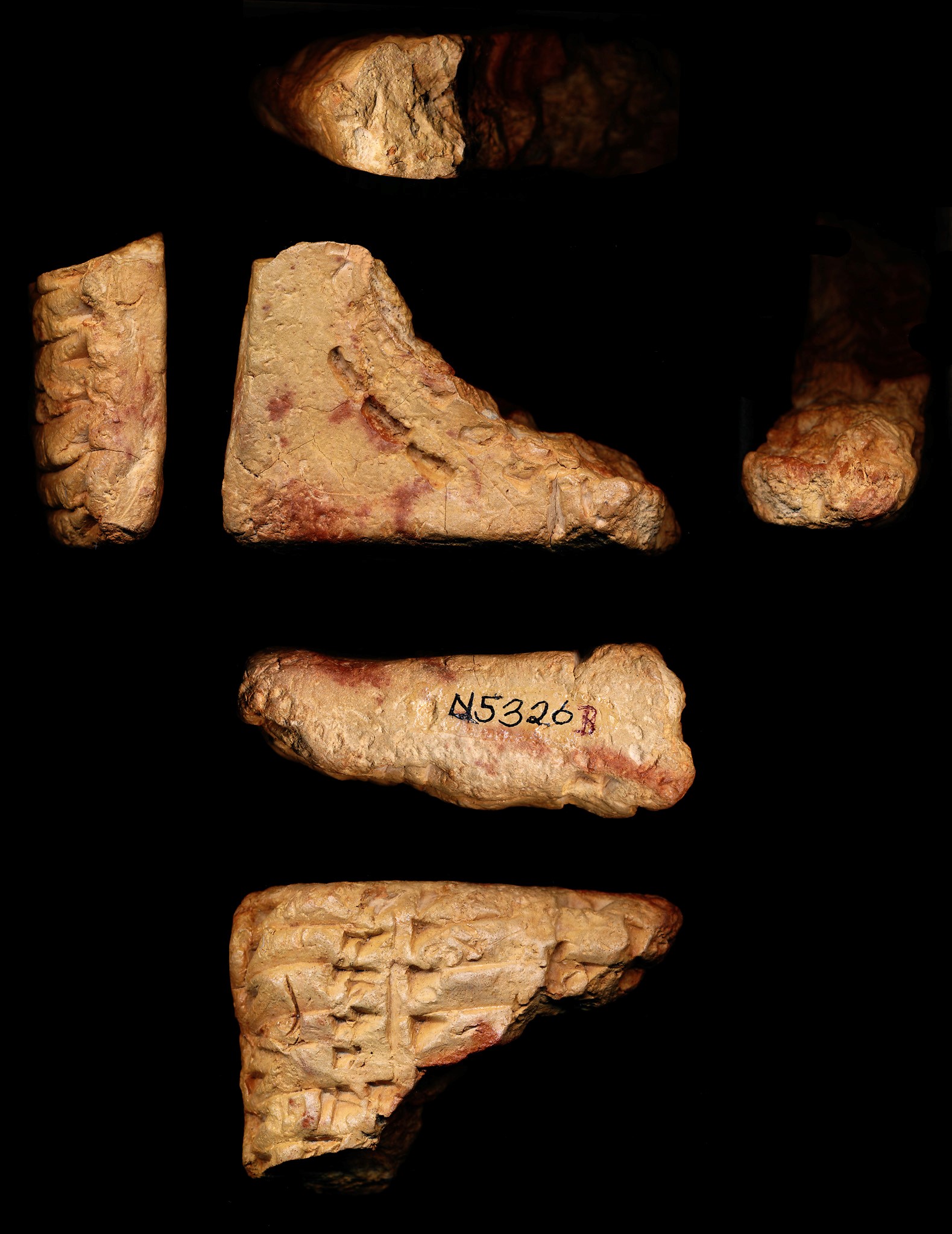 Teaching and Translating Taboo: Reflections from a Critical-Thinking ...