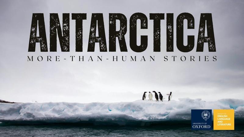 Antarctica: More - Than - Human Stories | TORCH | The Oxford Research ...