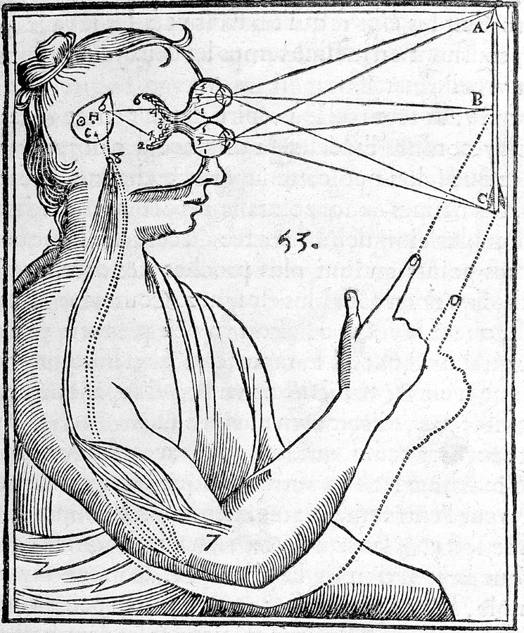 Introducing the Critical Visualisation Network at TORCH | TORCH | The ...