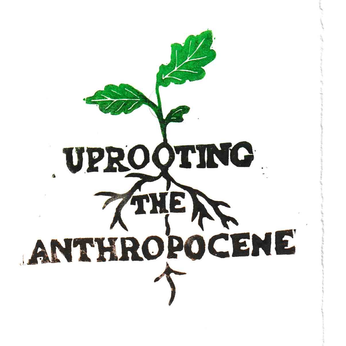 Uprooting the Anthropocene: (re-)centring trees in tree-human ...